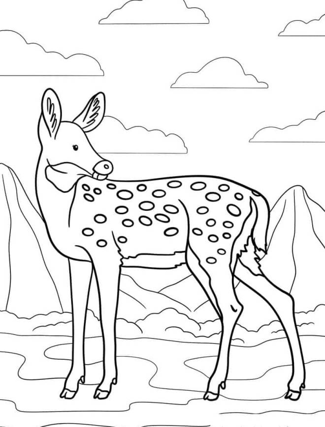 Coloriage Biche simple dessin gratuit à imprimer