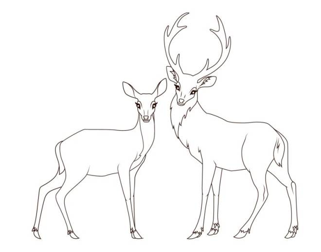 Coloriage Couple de cerf et biche dessin gratuit à imprimer Coloriage Couple de cerf et biche dessin gratuit à imprimer