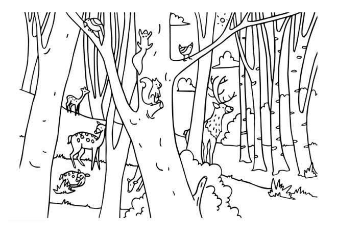 Coloriage Les cerfs jouent au cache-cache dessin gratuit à imprimer