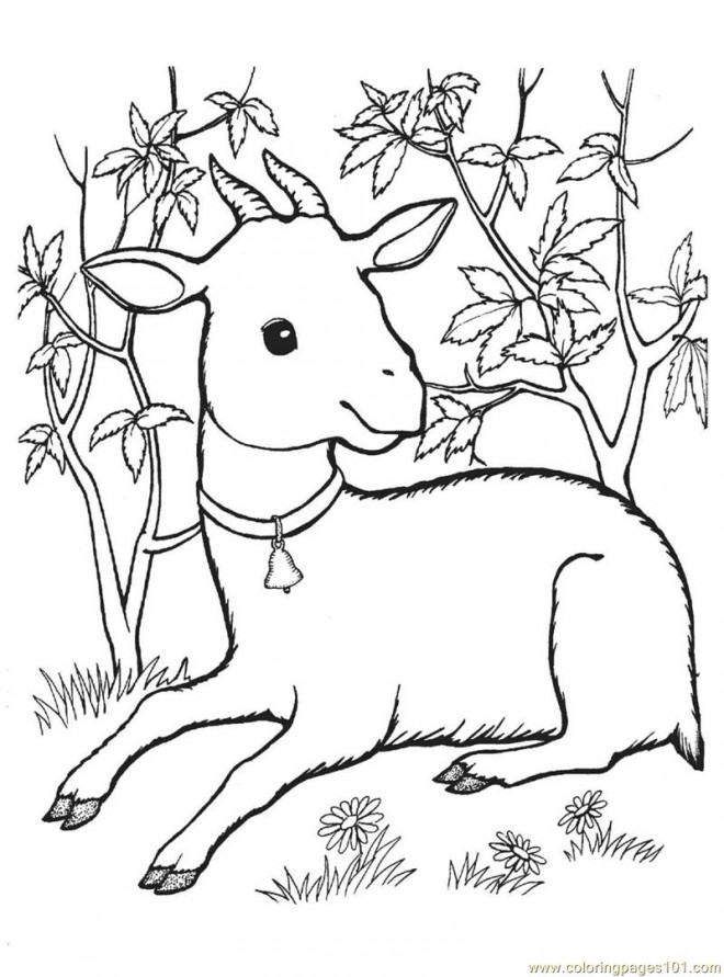 Coloriage Chevreau En Se Reposant Dessin Gratuit à Imprimer