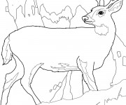 Coloriage Chevreuil stylisé dessin gratuit à imprimer