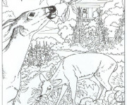 Coloriage Chevreuil gratuit à imprimer