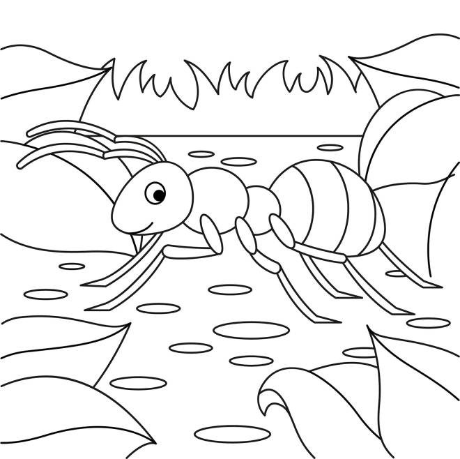 Coloriage Fourmi dans la nature dessin gratuit à imprimer Coloriage Fourmi dans la nature dessin gratuit à imprimer