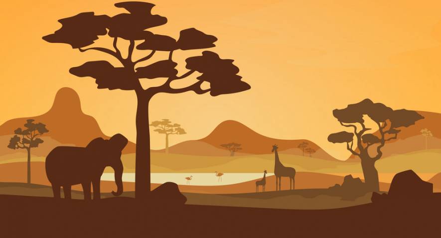 Ce que les enfants doivent savoir sur les savanes