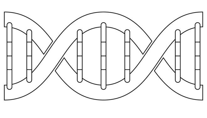 Coloriage Gène ADN dessin gratuit à imprimer
