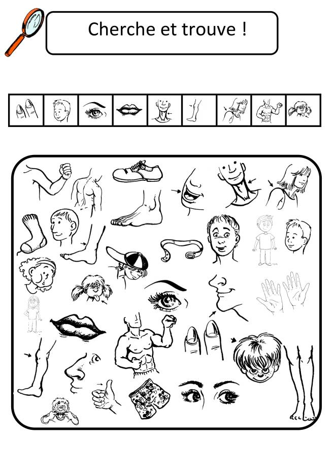 Coloriage Cherche et trouve le corps dessin gratuit à imprimer