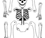 Coloriage Squelette gratuit à imprimer liste 120 à 140