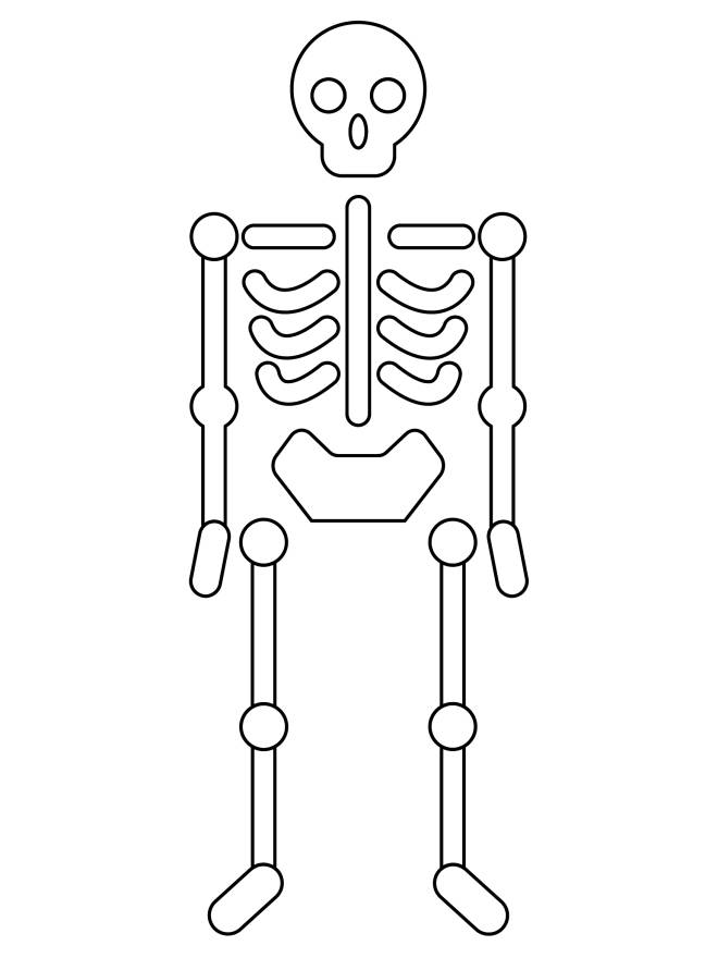 Coloriage Squelette humain en vecteur dessin gratuit à imprimer