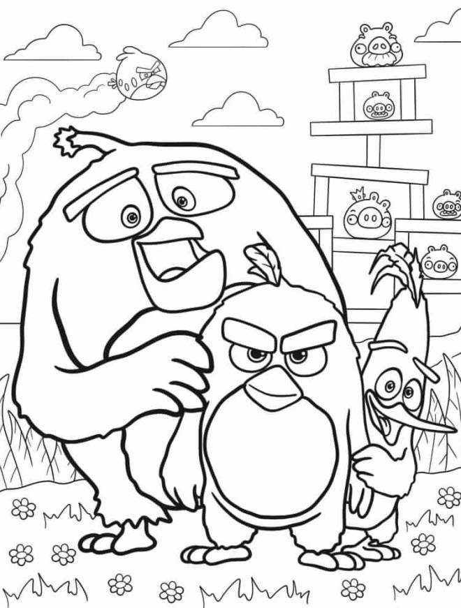 Coloriage Personnages de Angry Birds Red, Chuck et Bomb
