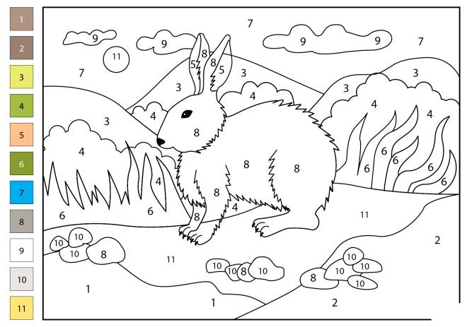 Coloriage Lapin gratuit à colorier par numéro