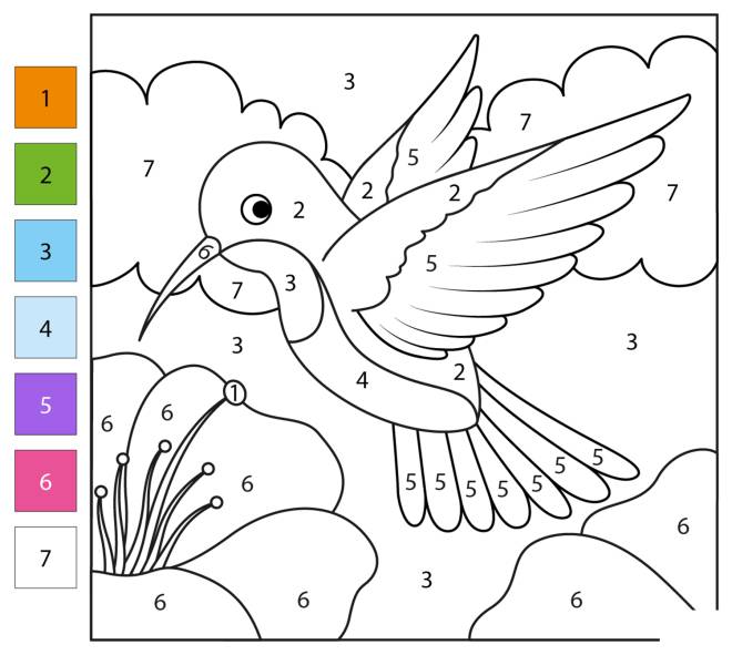 Coloriage Colibri oiseau par numéro dessin gratuit à imprimer