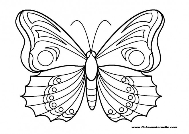 Coloriage Papillon Maternelle Magnifique Dessin Gratuit à Imprimer