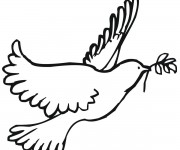 Coloriage Colombe gratuit à imprimer liste 20 à 40