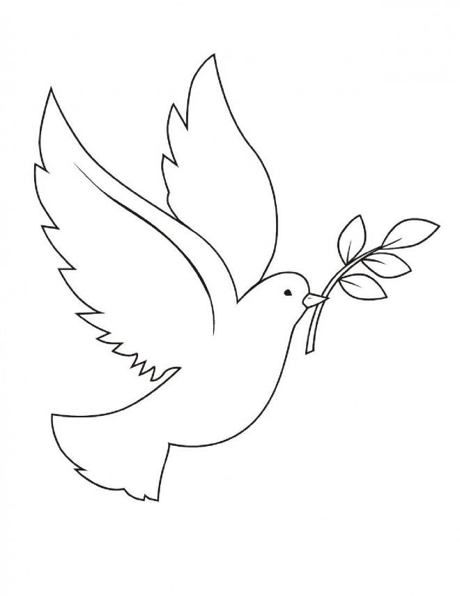 Coloriage Colombe 50 dessin gratuit à imprimer