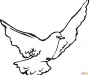 Coloriage Colombe gratuit à imprimer liste 20 à 40
