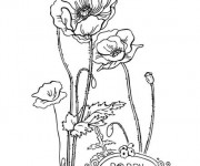 Coloriage Coquelicot gratuit à imprimer liste 40 à 60