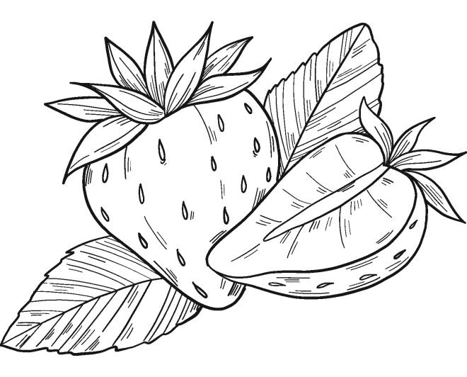 Coloriage Des fraises à télécharger