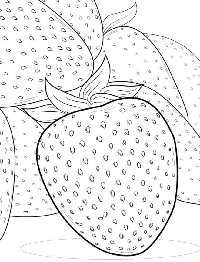 Coloriage Des fraises aux graines dessin gratuit à imprimer