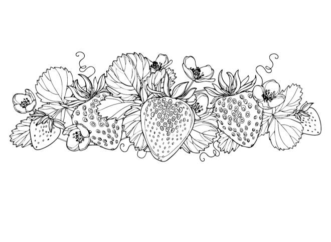 Coloriage Des fraises gratuits dessin gratuit à imprimer