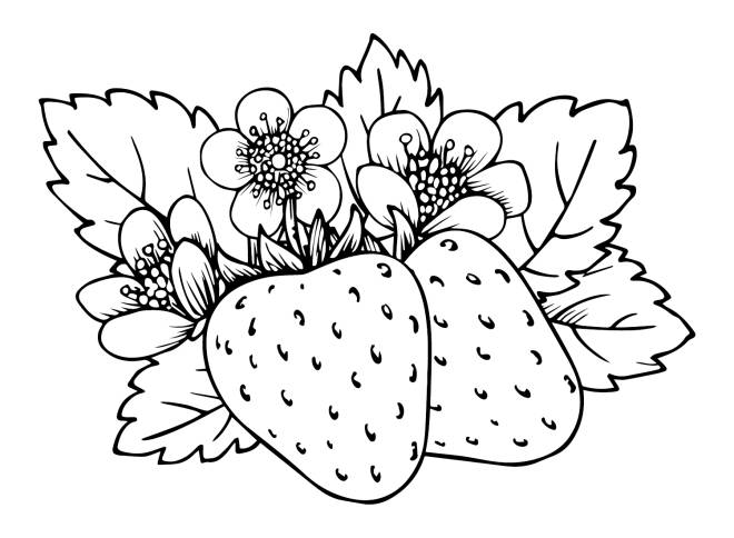 Coloriage Fraise à colorier gratuitement dessin gratuit à imprimer