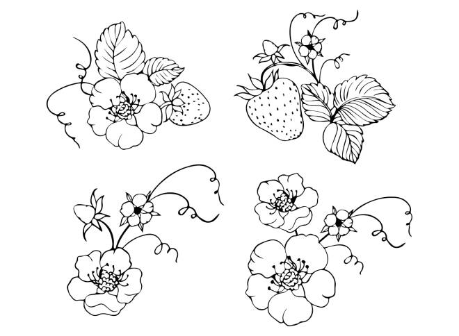 Coloriage Fraises avec leurs fruits dessin gratuit à imprimer