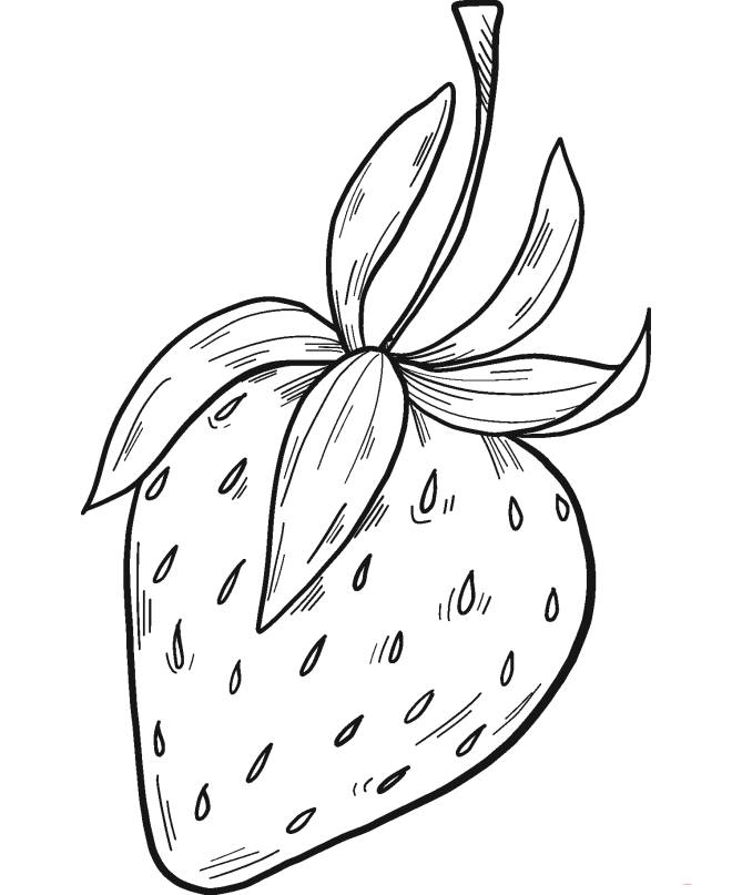 Coloriage Fruit de fraise à imprimer dessin gratuit à imprimer