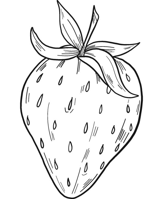 Coloriage Image d'une fraise facile dessin gratuit à imprimer