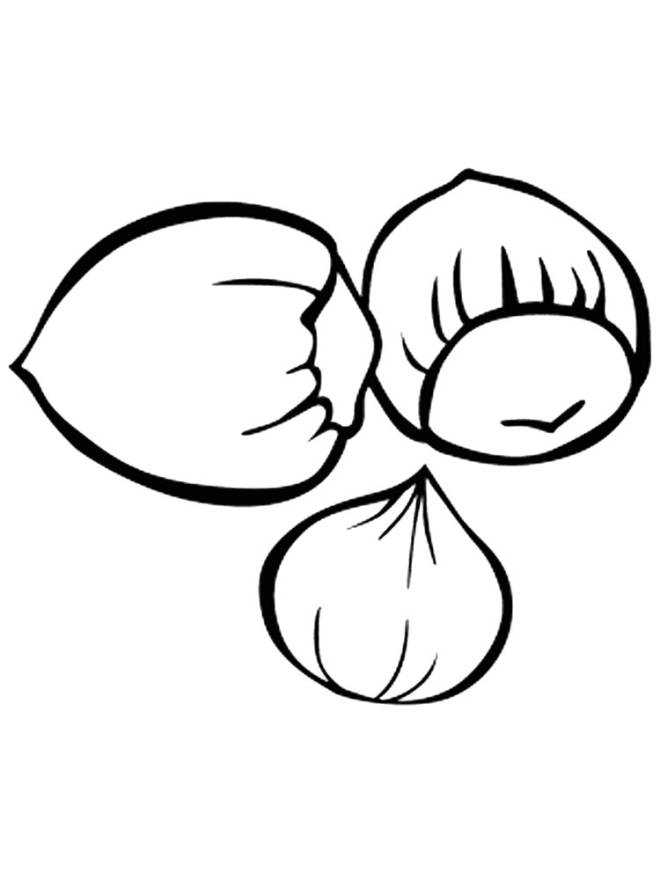 Coloriage Noisette facile et simple ps dessin gratuit à imprimer