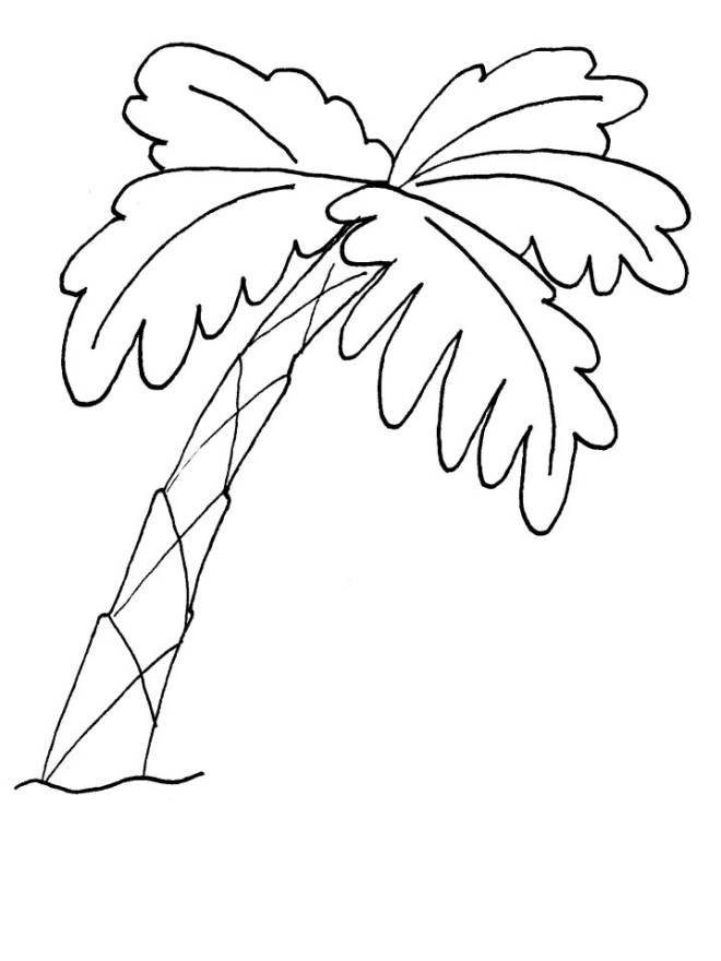 Coloriage Palmier des iles équatoriales dessin gratuit à imprimer Coloriage Palmier des iles équatoriales dessin gratuit à imprimer