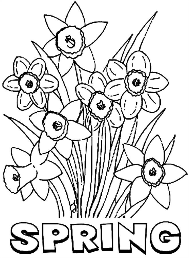 Coloriage Fleurs du printemps en noir et blanc dessin gratuit à imprimer