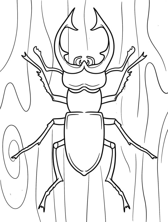 Coloriage Lucane cerf sur bois texturé dessin gratuit à imprimer